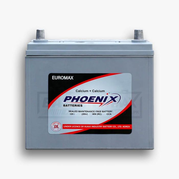 Phoenix EUROMAX-120L Maintenance Free Lead Acid Sealed Car Battery ...